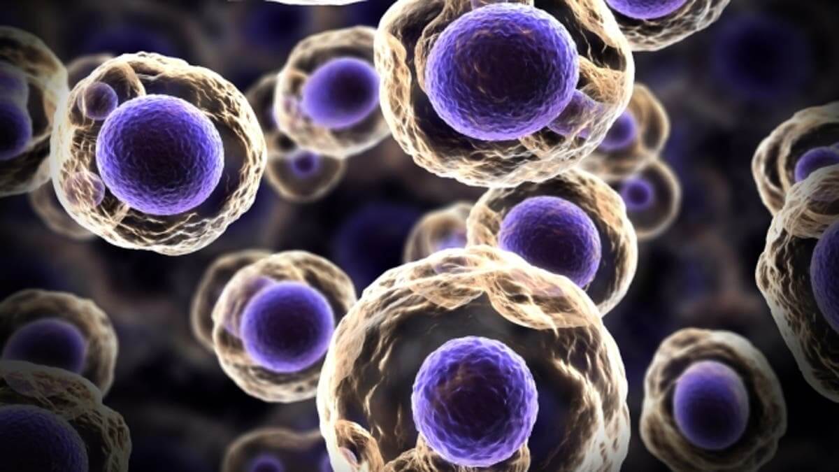 LUCA, nuestro último ancestro en común - La BioZona Blog