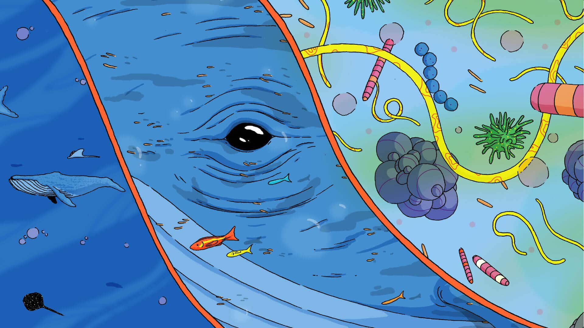 Holobiontes: ¿Individuos extendidos o ecosistemas en miniatura? - La ...