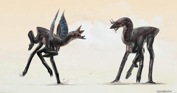 Evolución y adaptación: la ciencia detrás del diseño de criaturas en ...