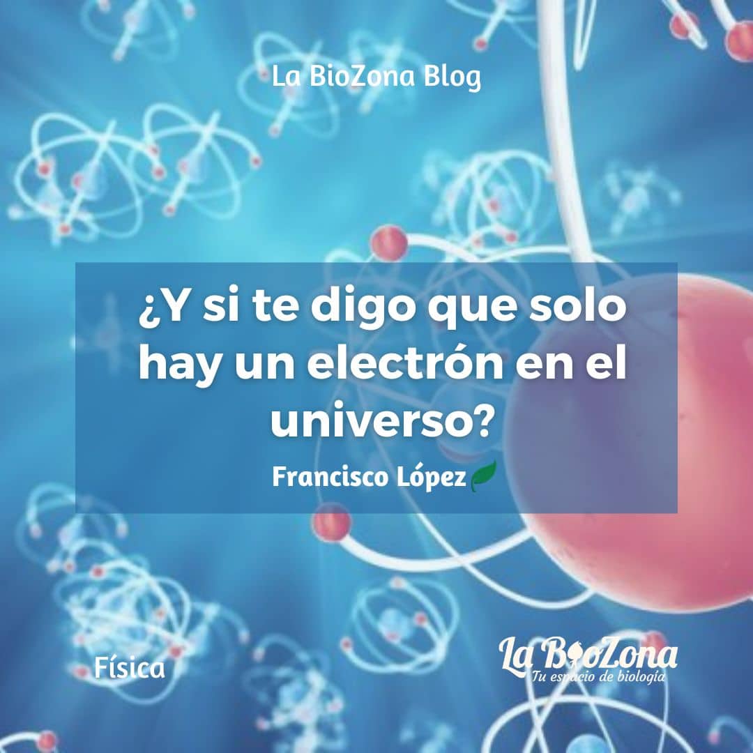 ¿Y si te digo que solo hay un electrón en el Universo? - La BioZona Blog