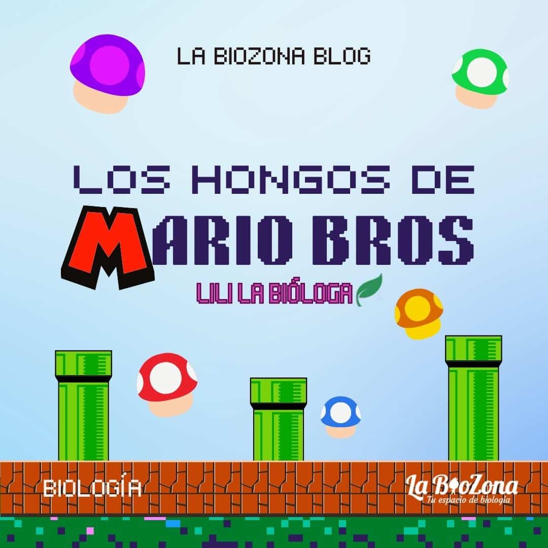 Los hongos de Mario Bros - La BioZona Blog