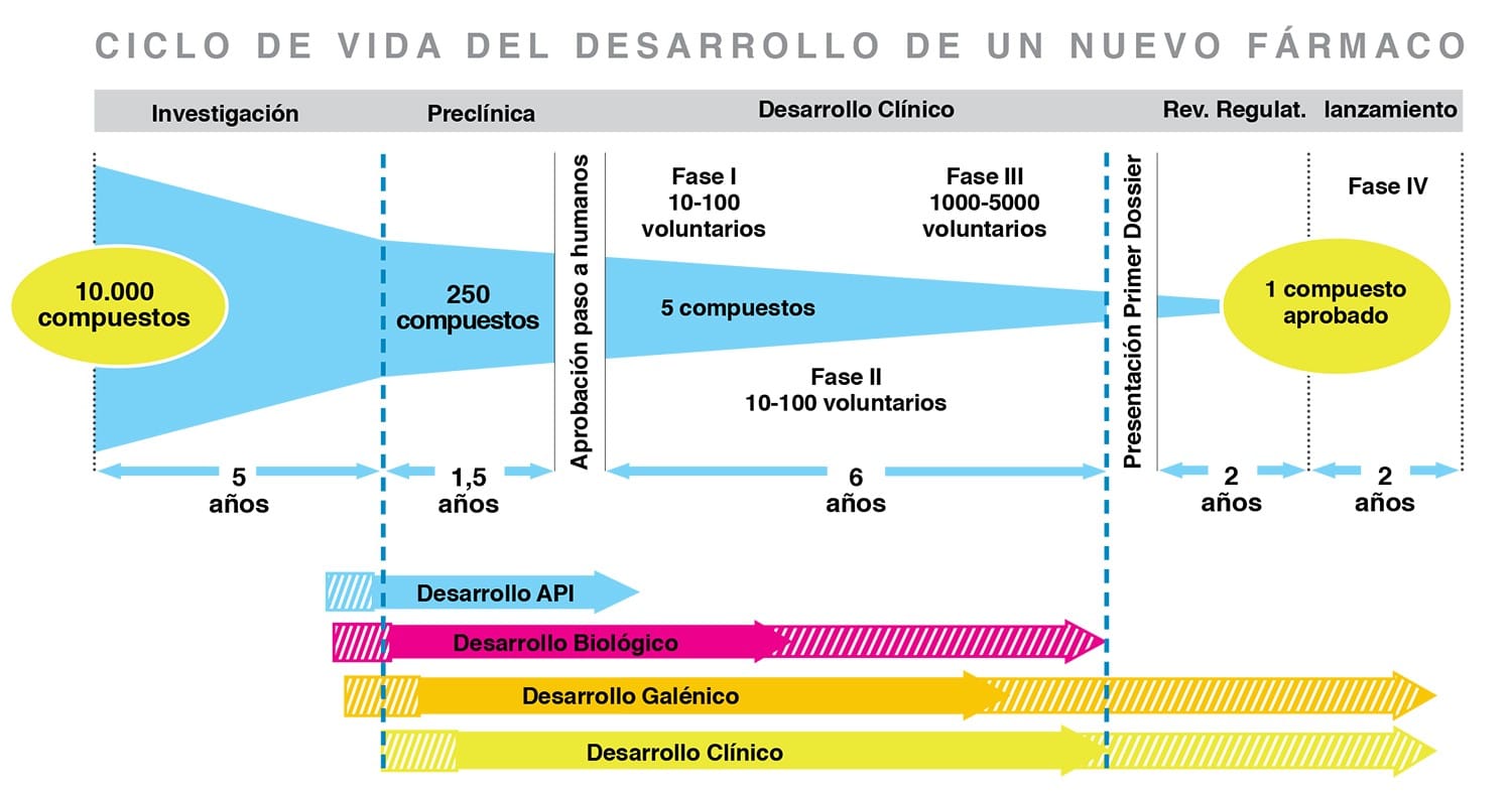 Del laboratorio a la farmacia: Fases de investigación de fármacos - La BioZona Blog