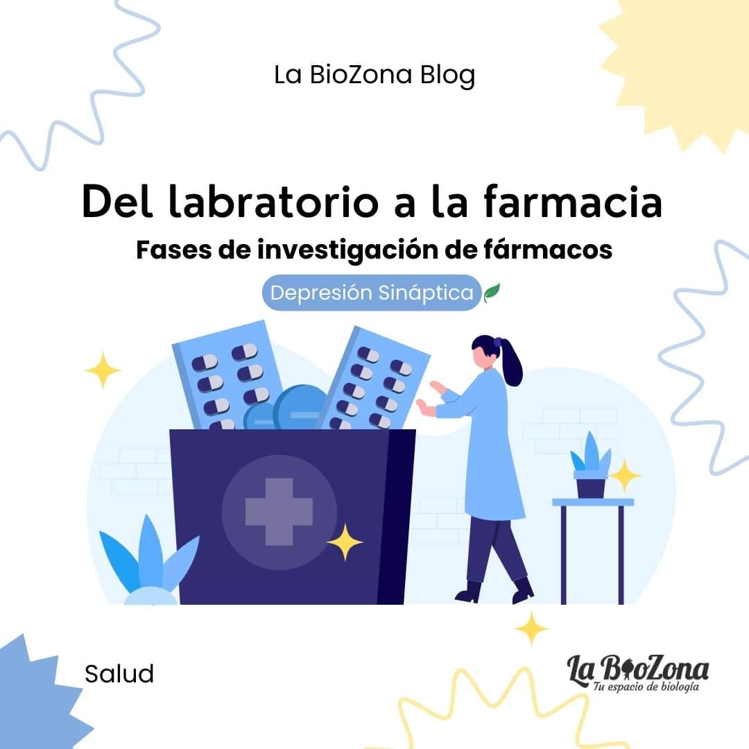 Del laboratorio a la farmacia: Fases de investigación de fármacos - La BioZona Blog