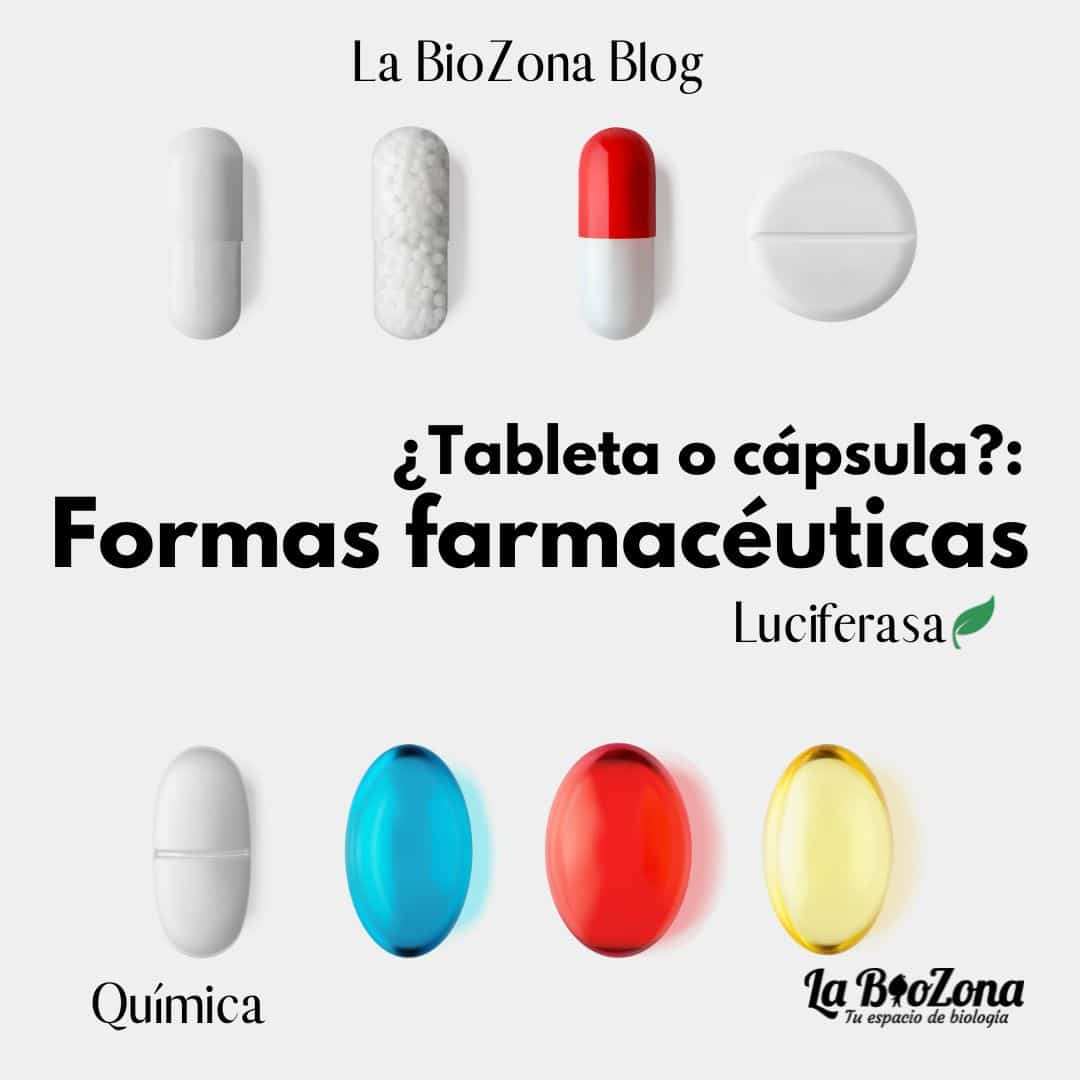 ¿Tableta o cápsula? Formas farmacéuticas - La BioZona Blog