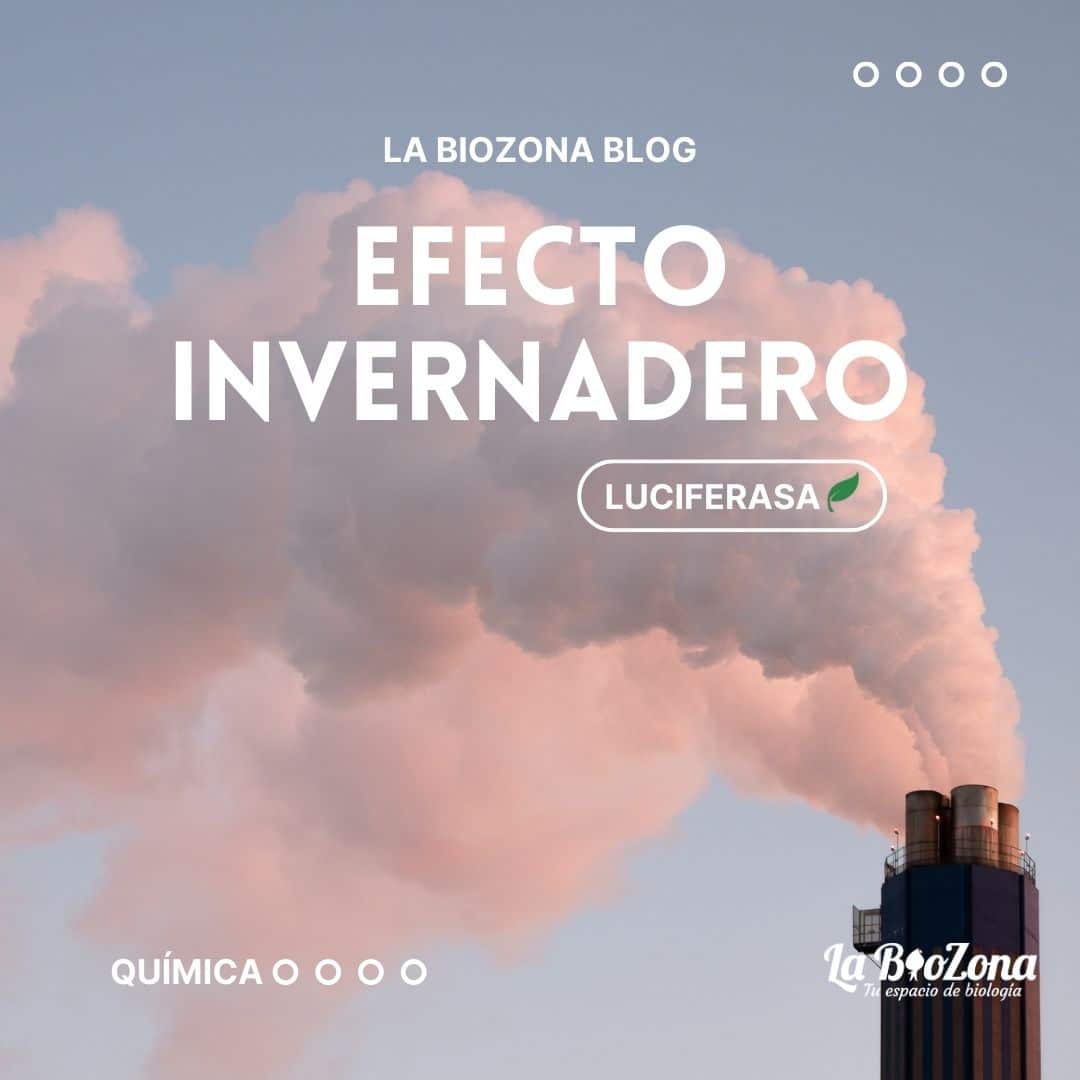 Efecto invernadero - La BioZona Blog