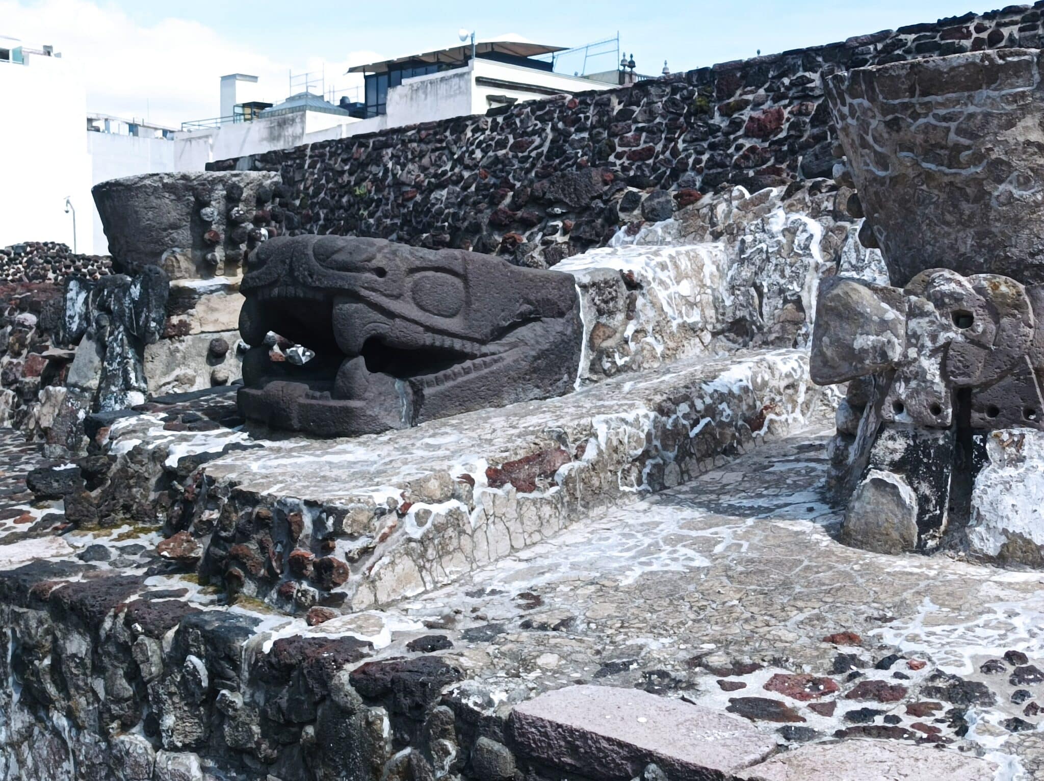 Polen en las ruinas: La Historia del Templo Mayor contada por el polen ...