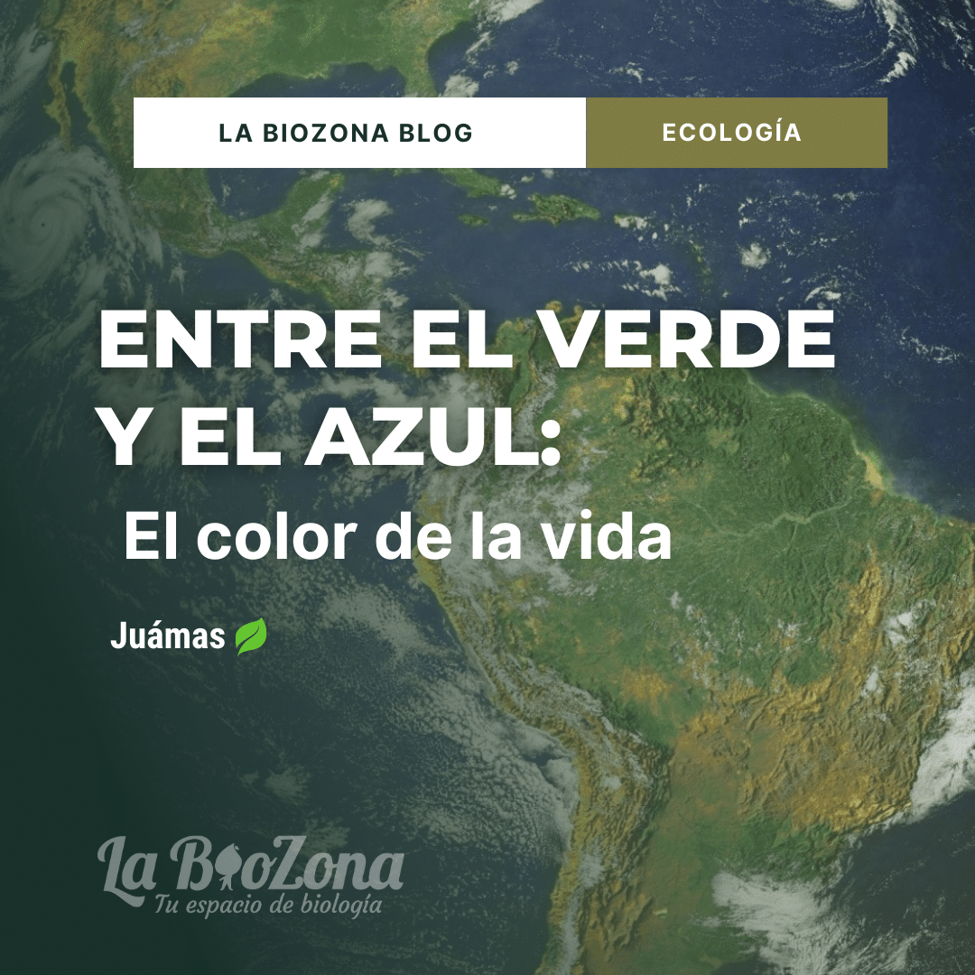 Entre verde y azul: El color de la vida - La BioZona Blog
