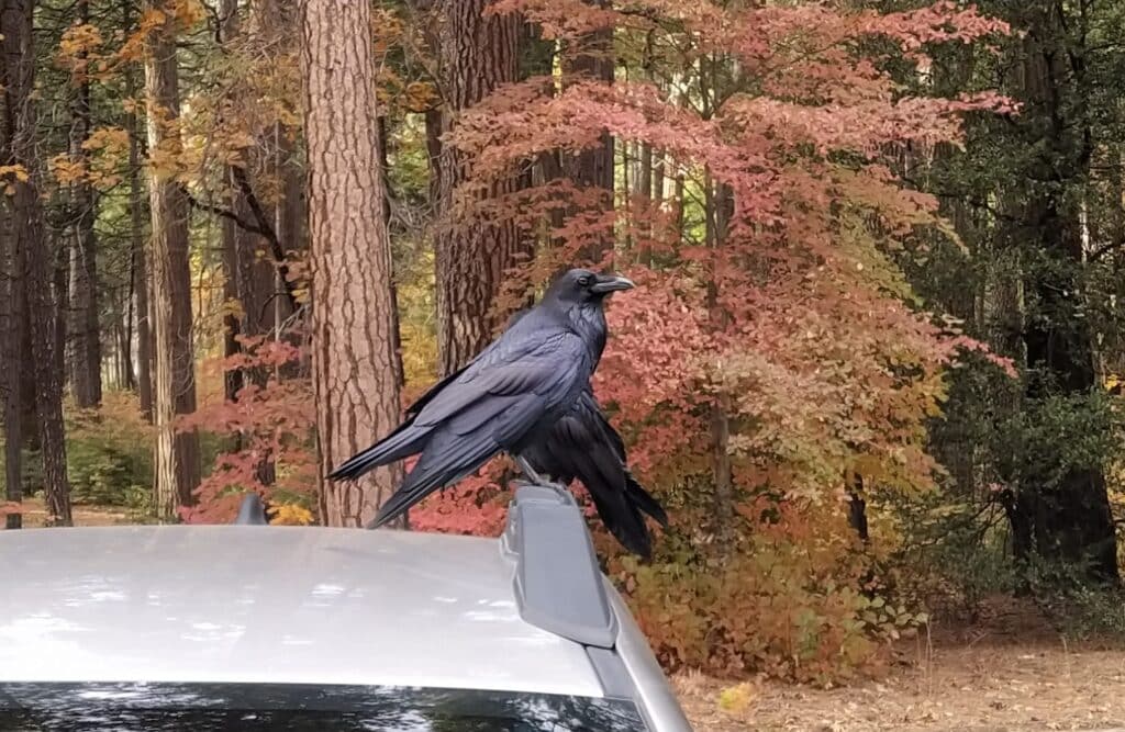 La BioZona Blog: Tu espacio de biología