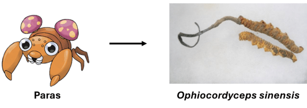 Lo que Pokémon nos enseña sobre los hongos - La BioZona Blog