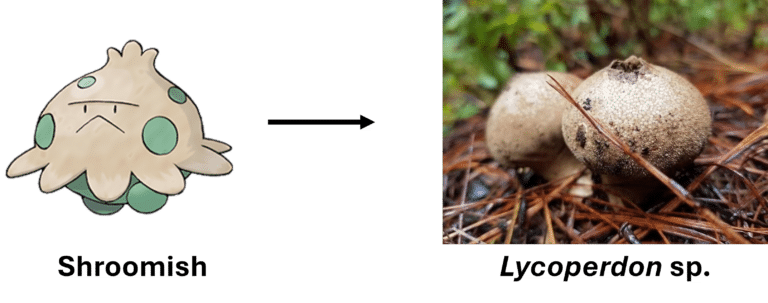 Lo que Pokémon nos enseña sobre los hongos - La BioZona Blog