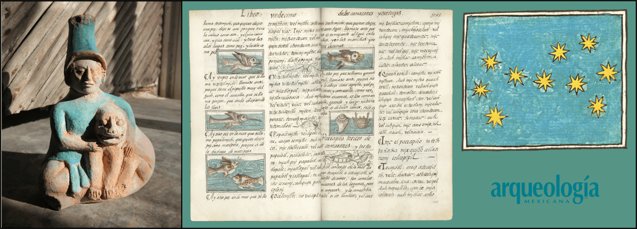 Azul maya inmortal - La BioZona Blog